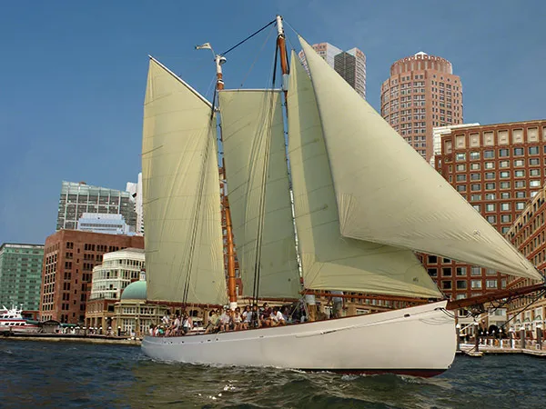 TIMEOUT: Best Boston Cruises | Classic Harbor Line Boston
